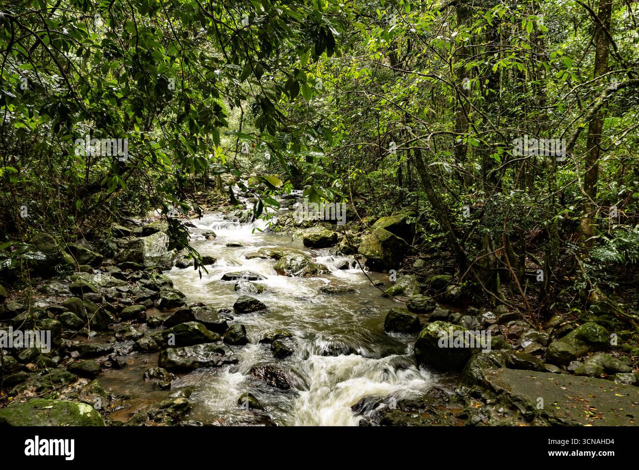 Freshwater stream over mossy rocks hi-res stock photography and images ...