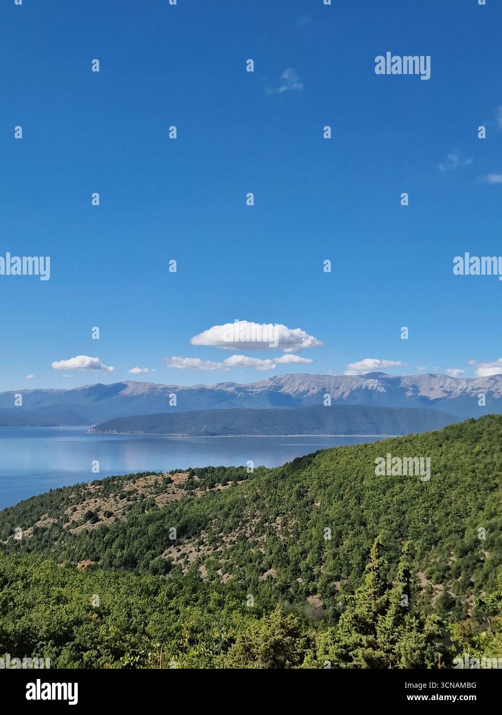 endangered lake prespa in macedonia landscape Stock Photo - Alamy