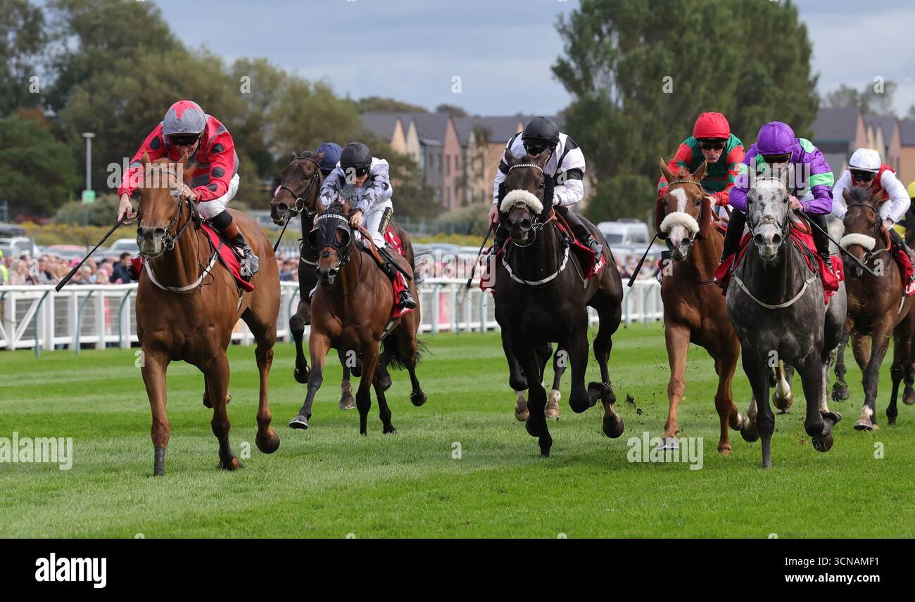 Thunder Roar ridden by David Nolan wins the Ladbrokes Free Bet Handicap ...