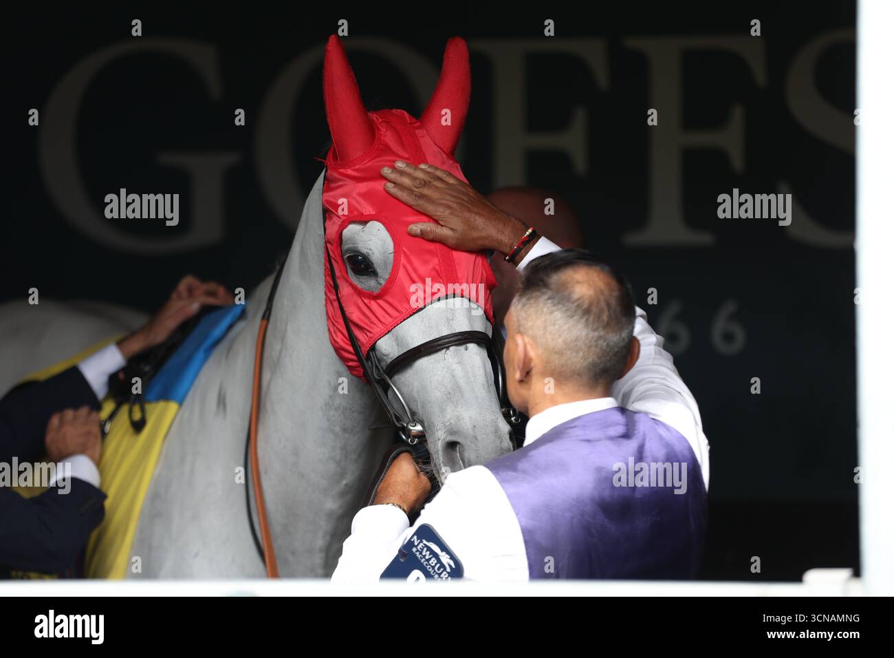 Alfred Boucher being prepared ahead of the Dubai Duty Free Autumn Cup ...