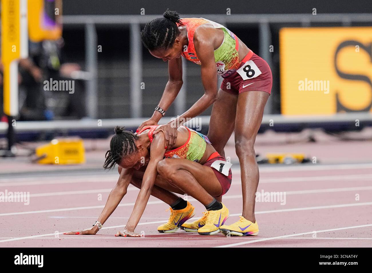 Kenya's Beatrice Chebet reacts with Kenya's Faith Kipyegon, right ...