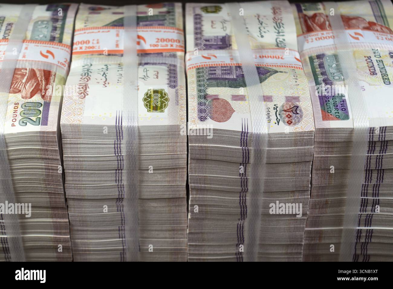 Stacks and piles of Egyptian money pallets of 200 LE EGP two hundred ...