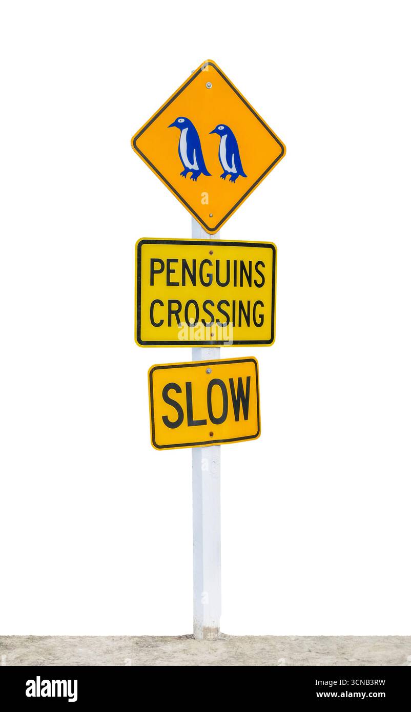 Penguins Crossing sign isolated in white back Stock Photo - Alamy