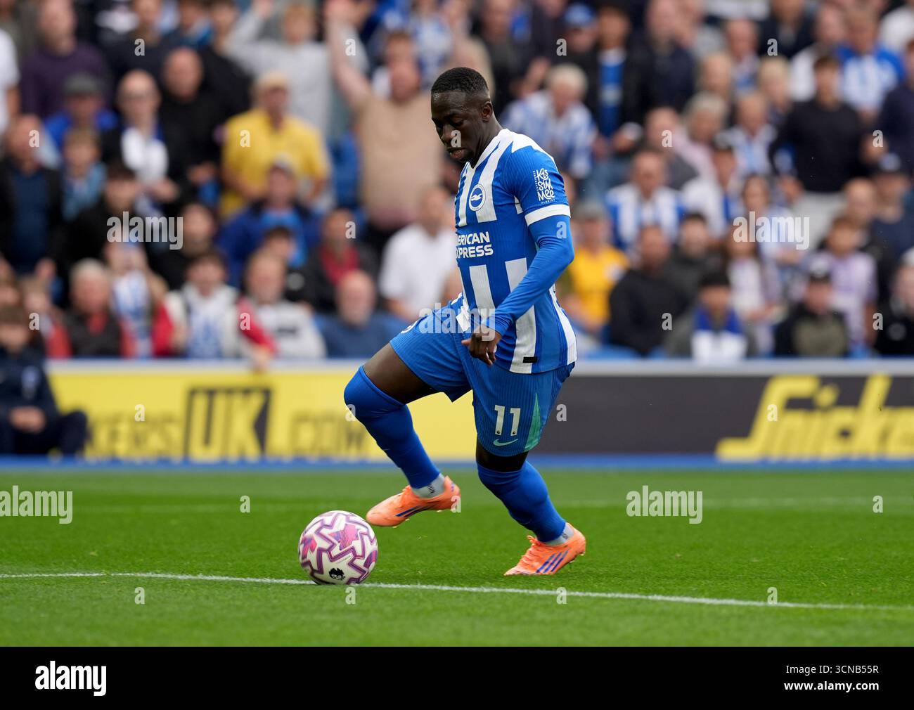 Brighton and Hove Albion's Yankuba Minteh scores his sides first goal ...