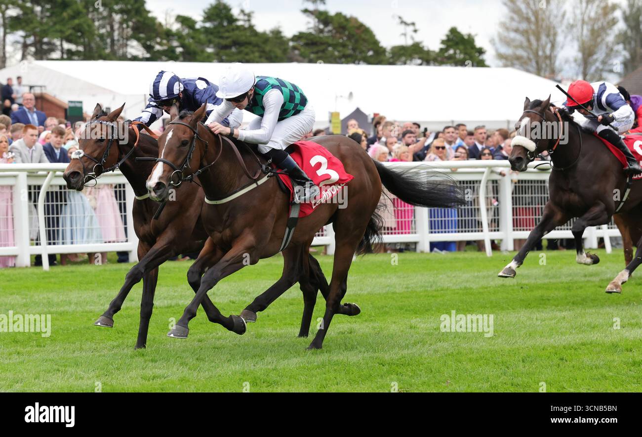 Catching The Moon ridden by Oisin Orr wins The Ladbrokes Get Rewarded ...