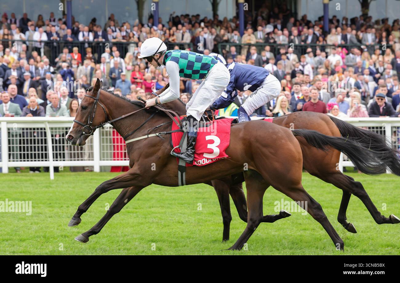 Catching The Moon ridden by Oisin Orr wins The Ladbrokes Get Rewarded ...
