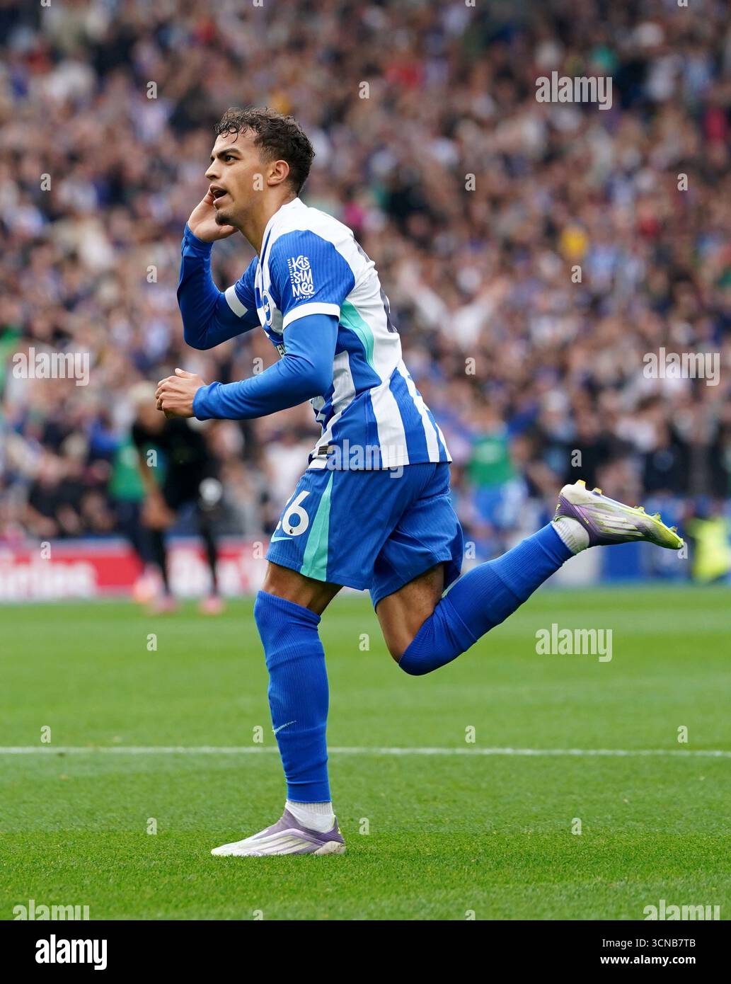 Brighton and Hove Albion's Yasin Ayari celebrates after scoring his ...