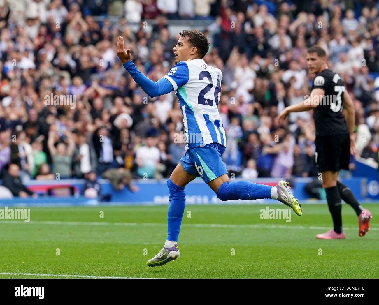 Brighton and Hove Albion's Yasin Ayari celebrates after scoring his ...