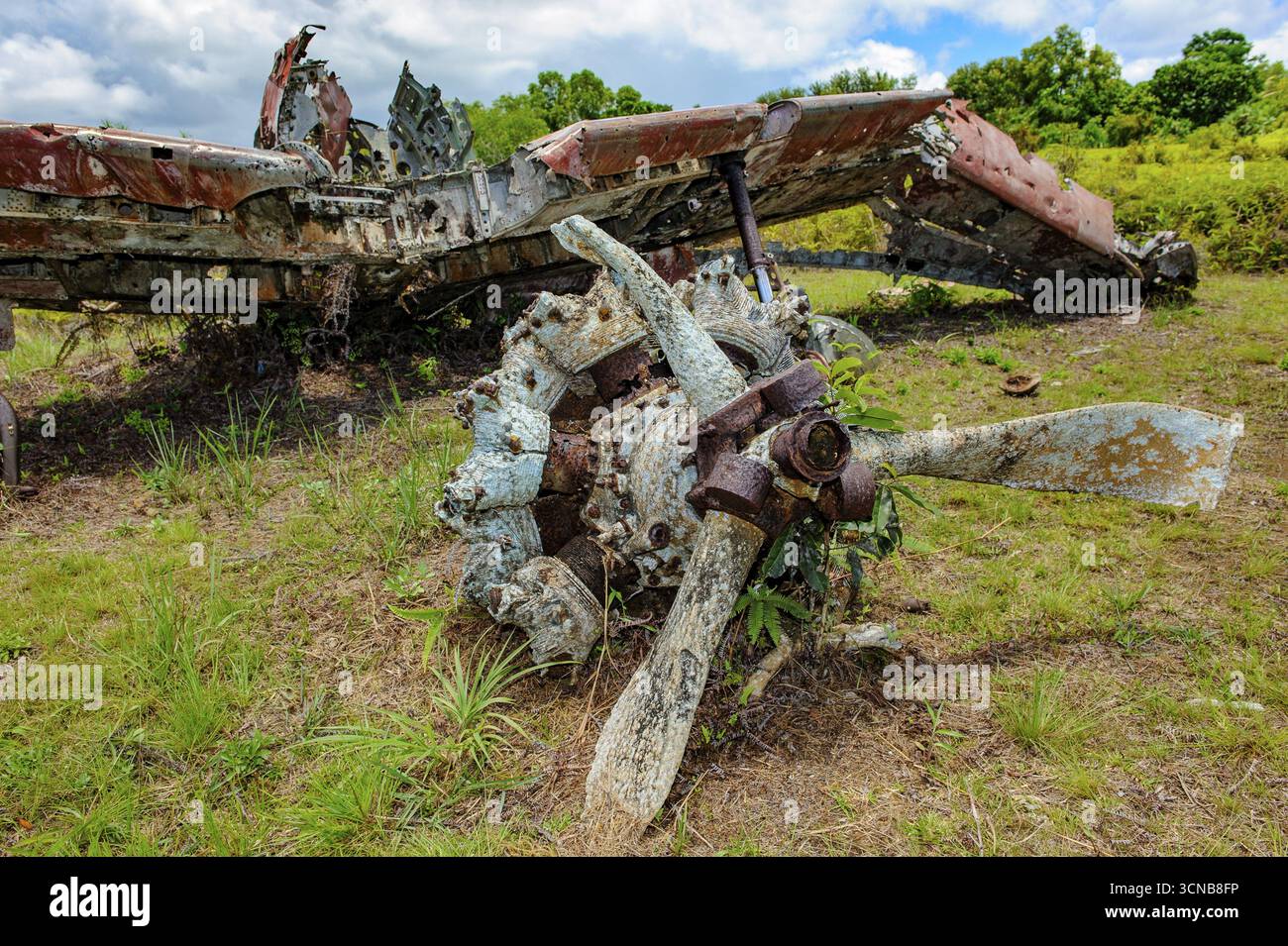 Aircraft wreckage of Japanese fighter aircraft A6M2 Model 21 Zero of ...