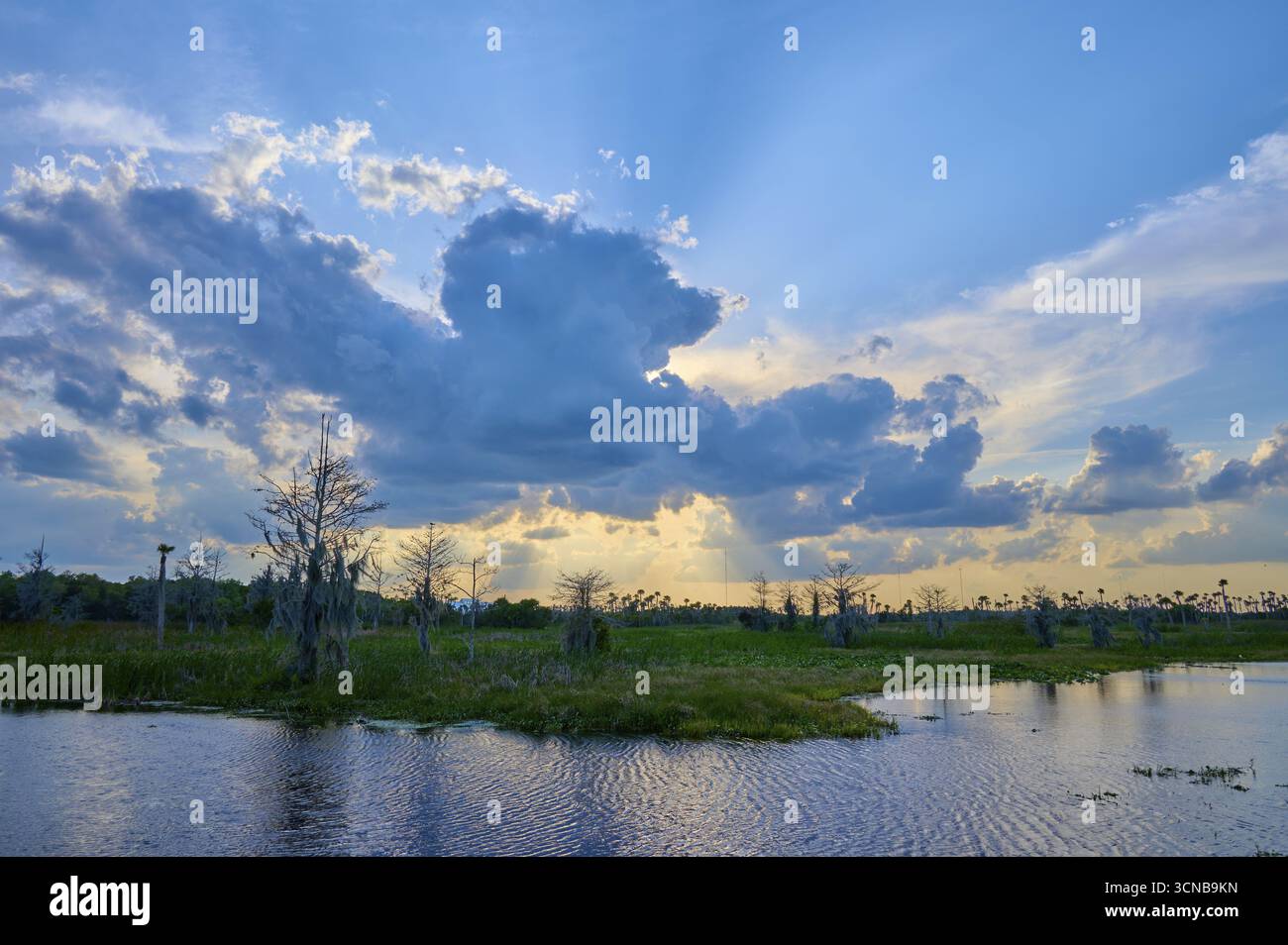Vast lakescape under a dramatic sky with sunbeams, Orlando Wetlands ...