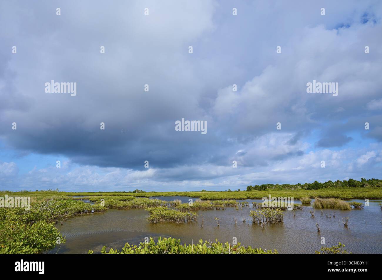 Sprawling marsh under a cloudy sky, Black Point Wildlife Drive ...