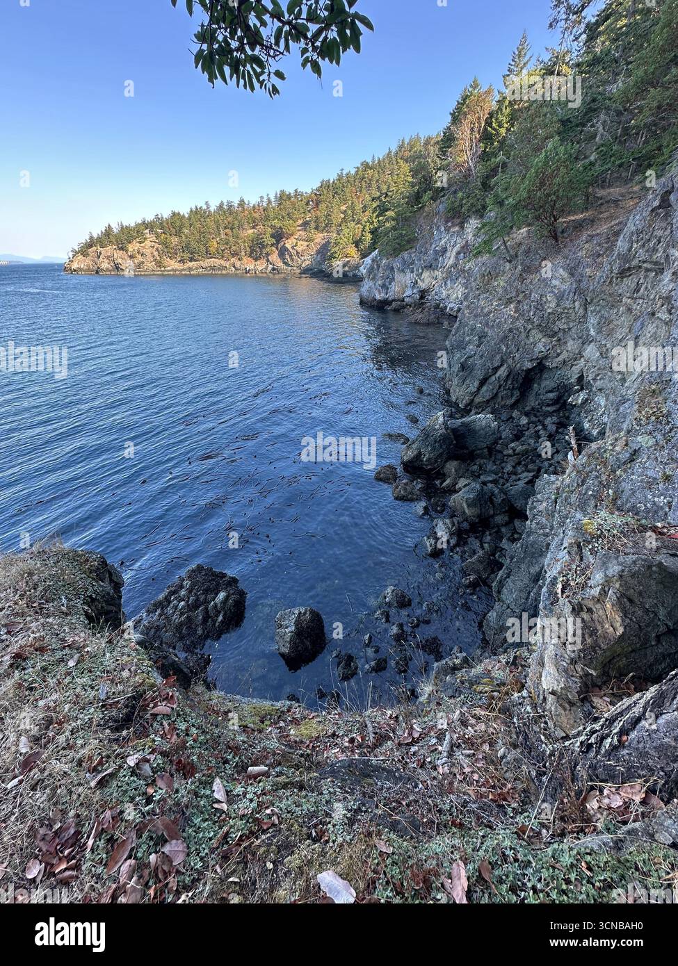 Puget sound from shore smartphone stock photos and images - Alamy