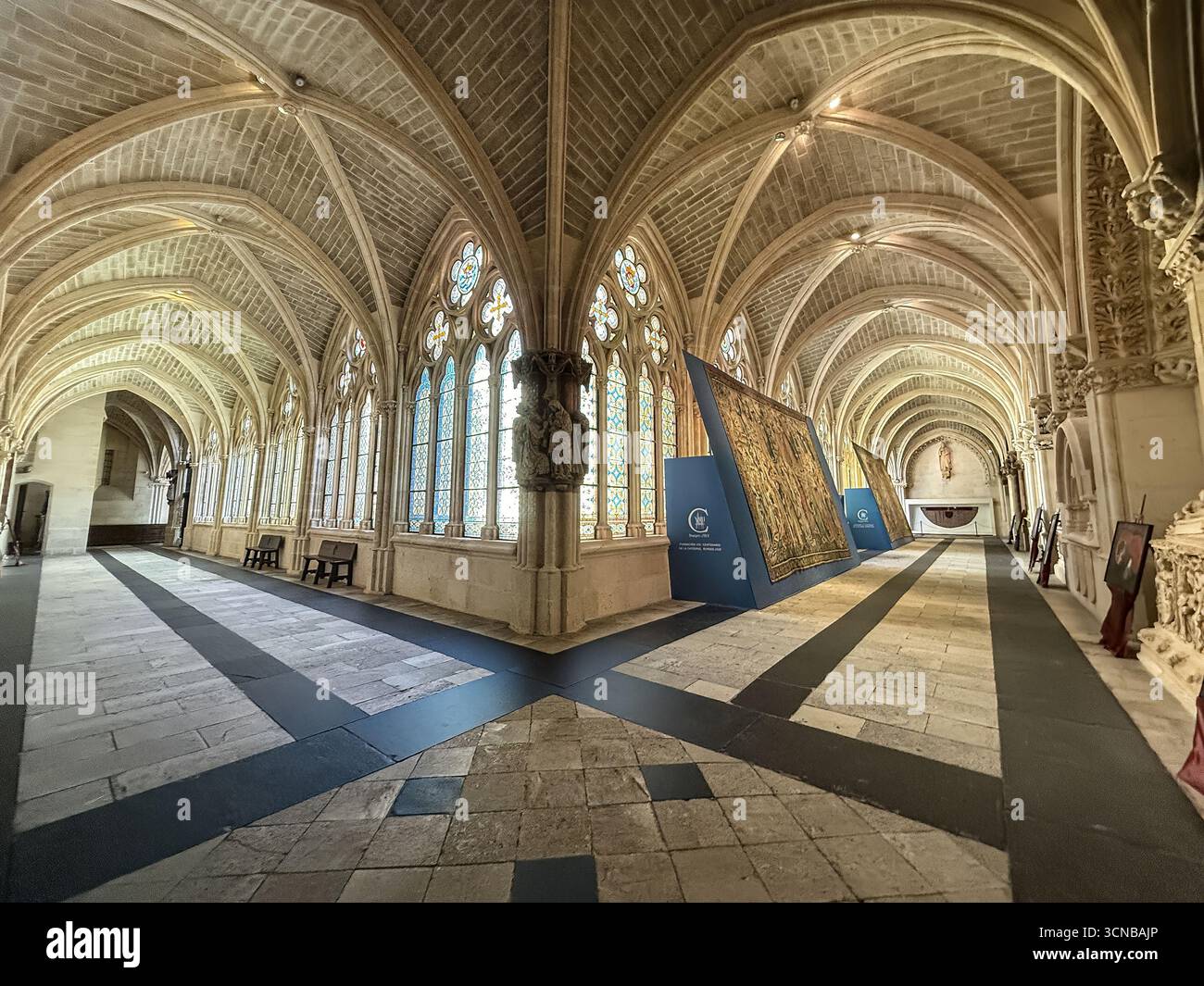 Gothic vaulted cloister with stained glass, intersecting corridors and ...