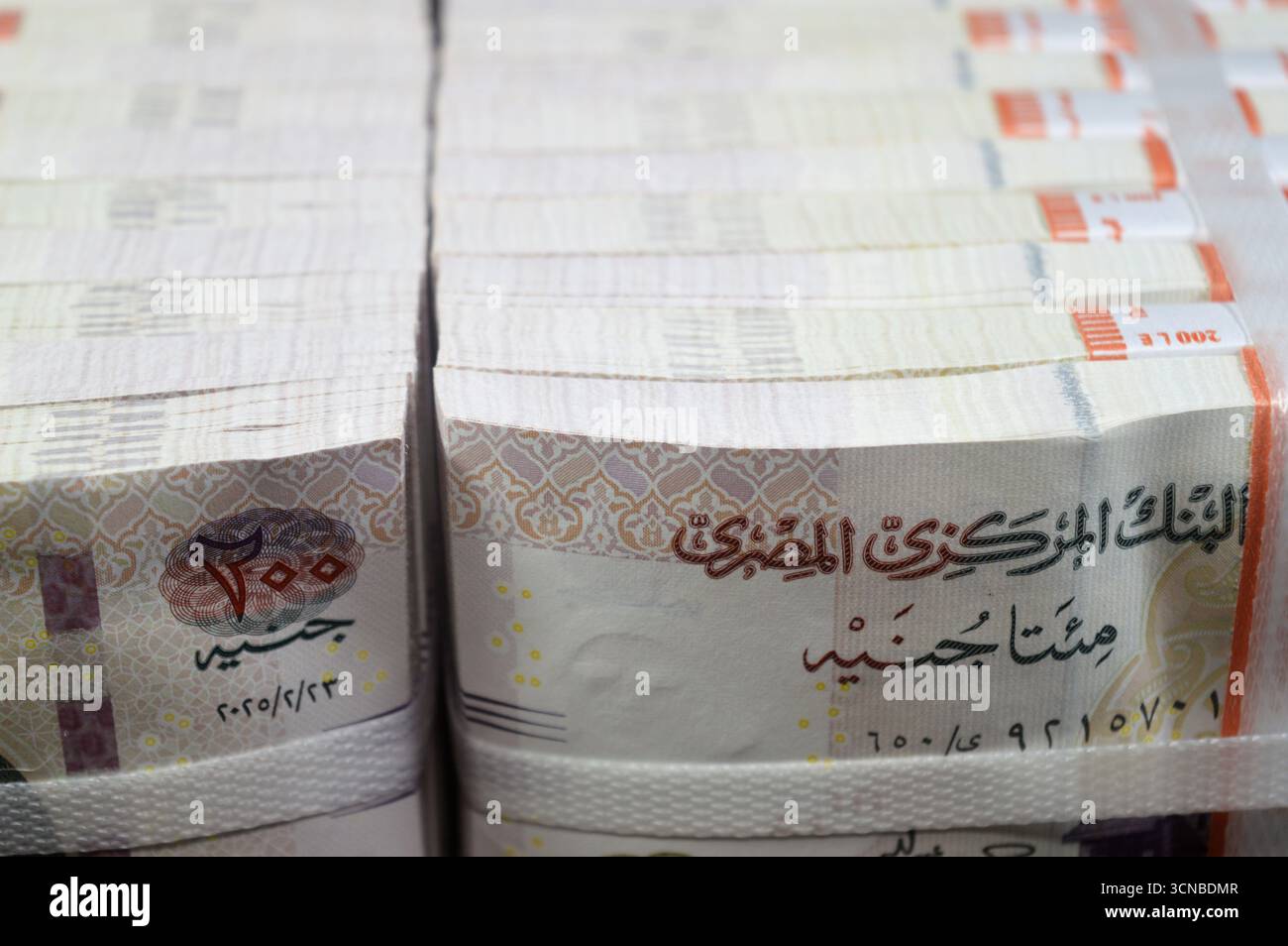 Stacks and piles of Egyptian money pallets of 200 LE EGP two hundred ...