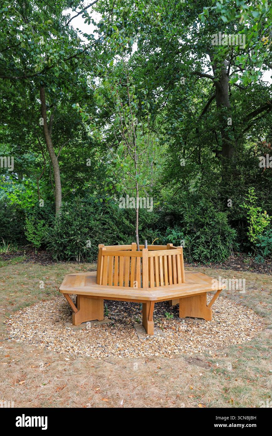 A modern wooden seat around a tree at Stowe House, Stowe Gardens, Stowe ...