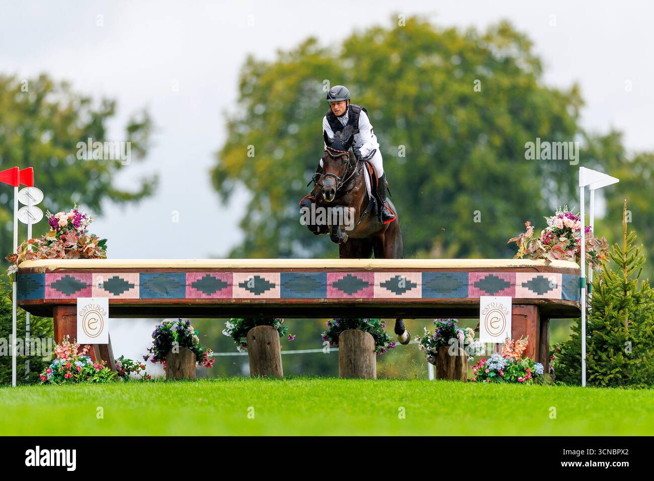 European cross country 2025 hi-res stock photography and images - Alamy