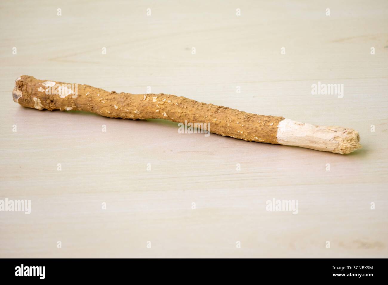 Islamic natural toothbrush Miswak. It is a traditional chewing stick ...