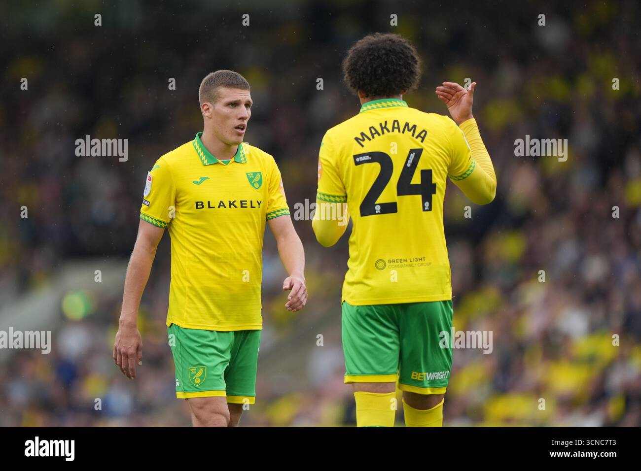 Norwich City's Jakov Medic and Jovon Makama during the Sky Bet Championship match at Carrow Road ...
