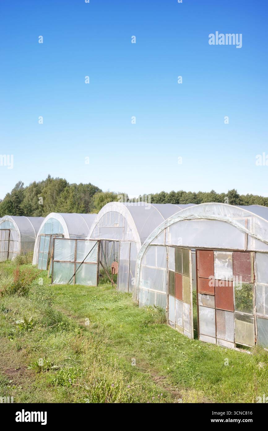 Greenhouses on an organic vegetable farm Stock Photo - Alamy