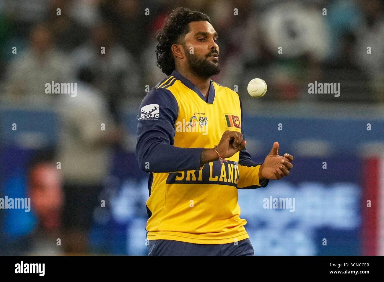 Sri Lanka's Wanindu Hasaranga prepares to bowl a delivery during the ...