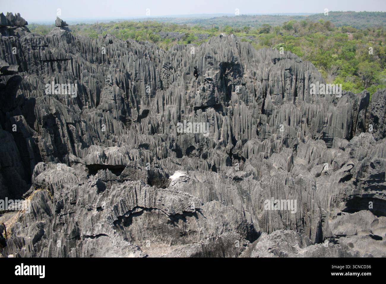 Dramatic limestone pinnacles at Tsingy de Bemaraha National Park ...