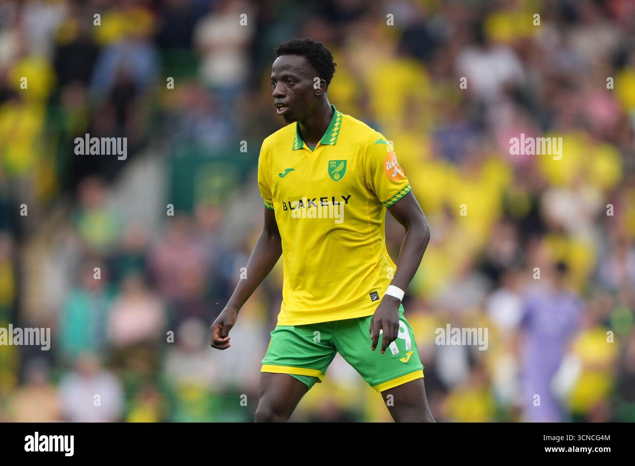 Norwich City's Papa Amadou Diallo during the Sky Bet Championship match ...