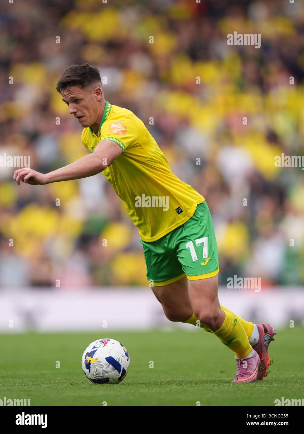 Norwich City's Ante Crnac during the Sky Bet Championship match at ...