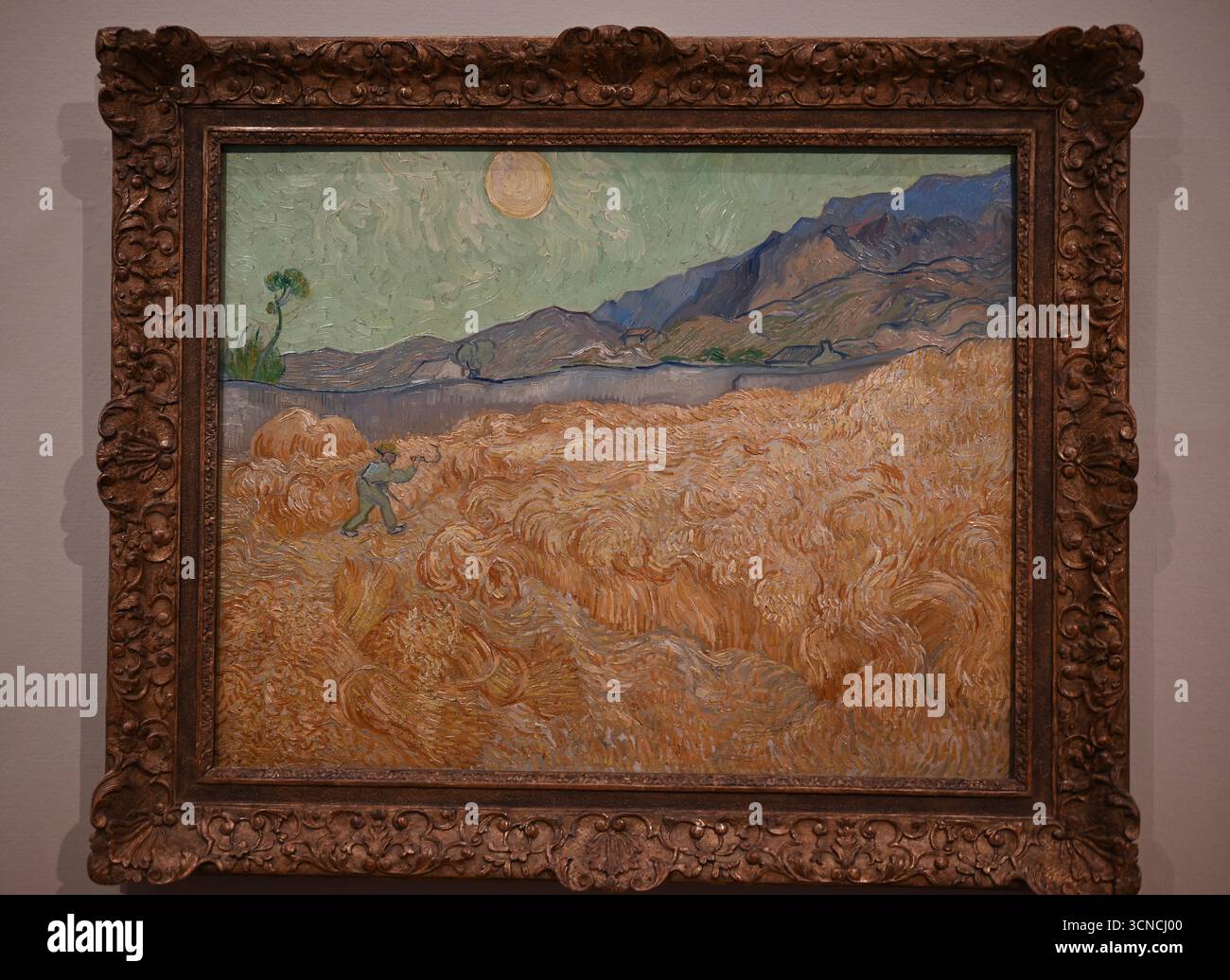 The Van Gogh Museum is a Dutch art museum dedicated to the works of ...