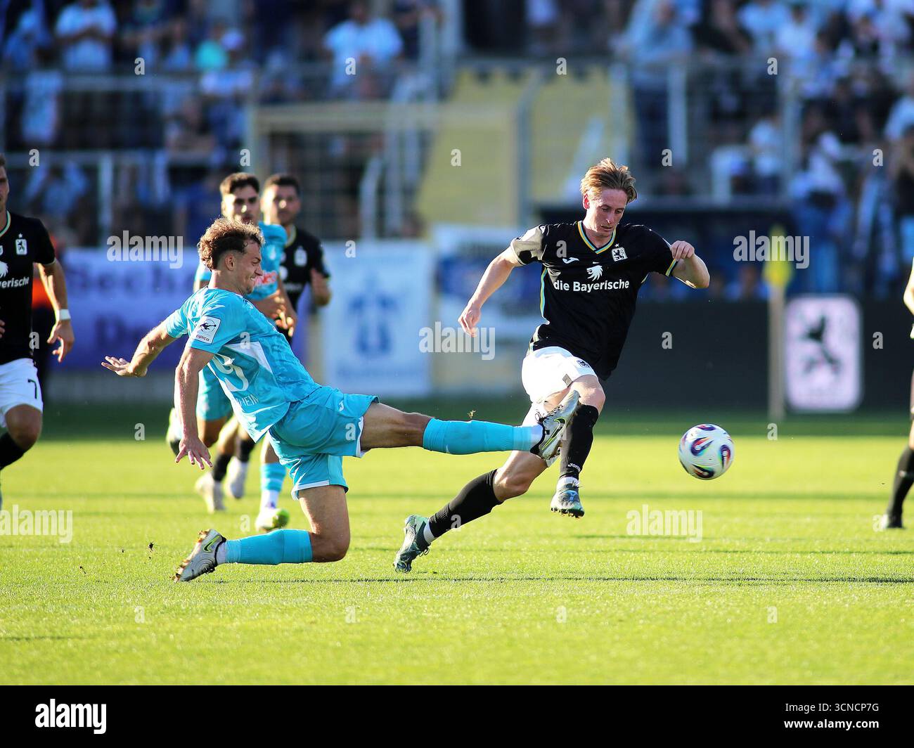 Fussball, Herren, 3.Liga, Saison 2025/2026, TSV 1860 München - TSG 1899 ...