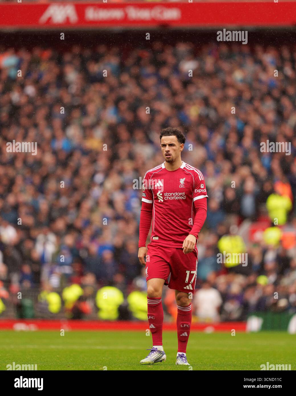 Curtis Jones of Liverpool is seen during the Premier League match ...