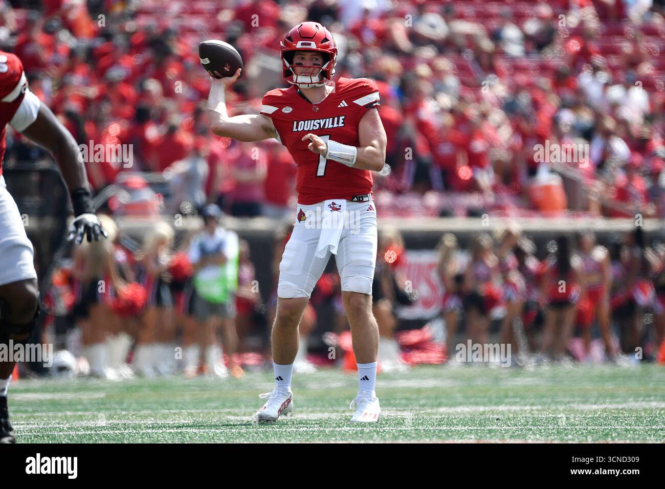 Louisville quarterback Miller Moss (7) attempts a pass during the ...