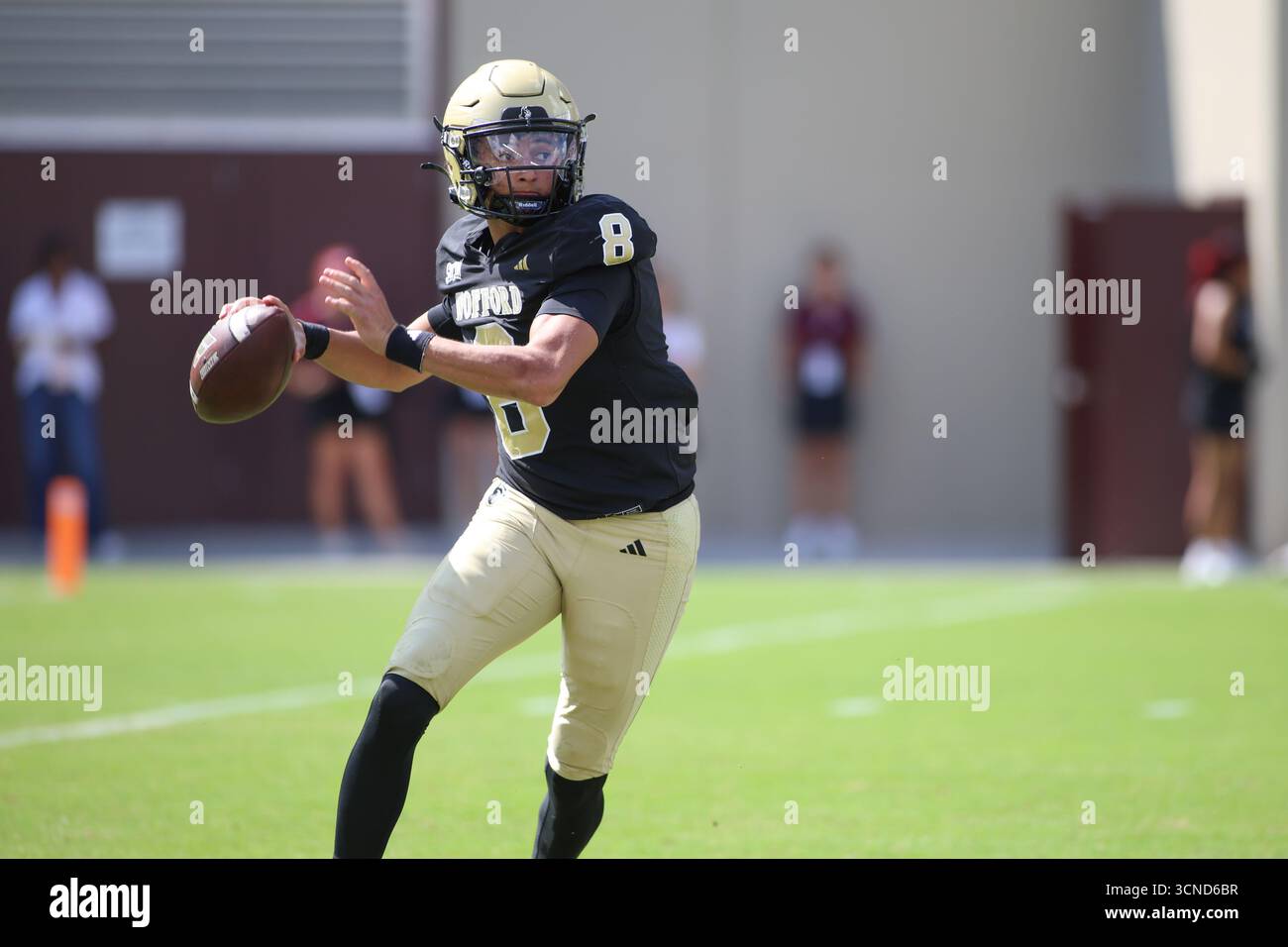 September 20, 2025: Wofford Terriers quarterback Jayden Whitaker (8 ...