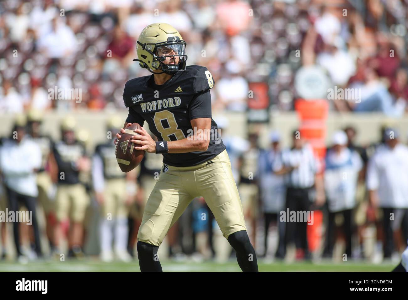 September 20, 2025: Wofford Terriers quarterback Jayden Whitaker (8 ...