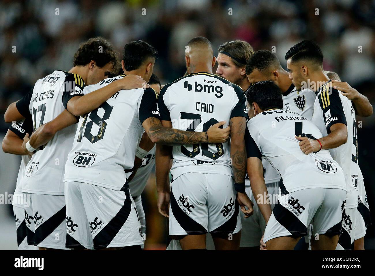 Botafogo nilton santos 2025 september hi-res stock photography and ...