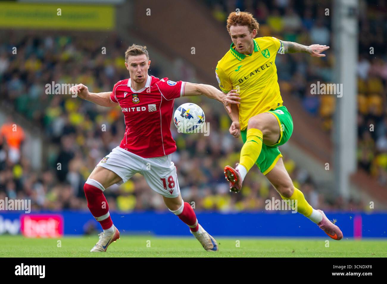 Josh Sargent of Norwich City battles for the ball with Ben Sheaf of ...