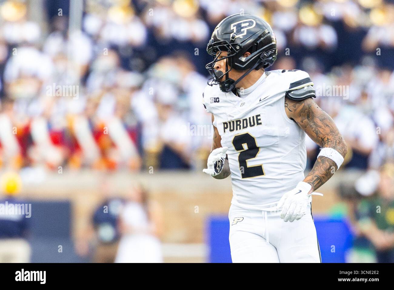 September 20, 2025: Purdue wide receiver Michael Jackson III (2) during ...