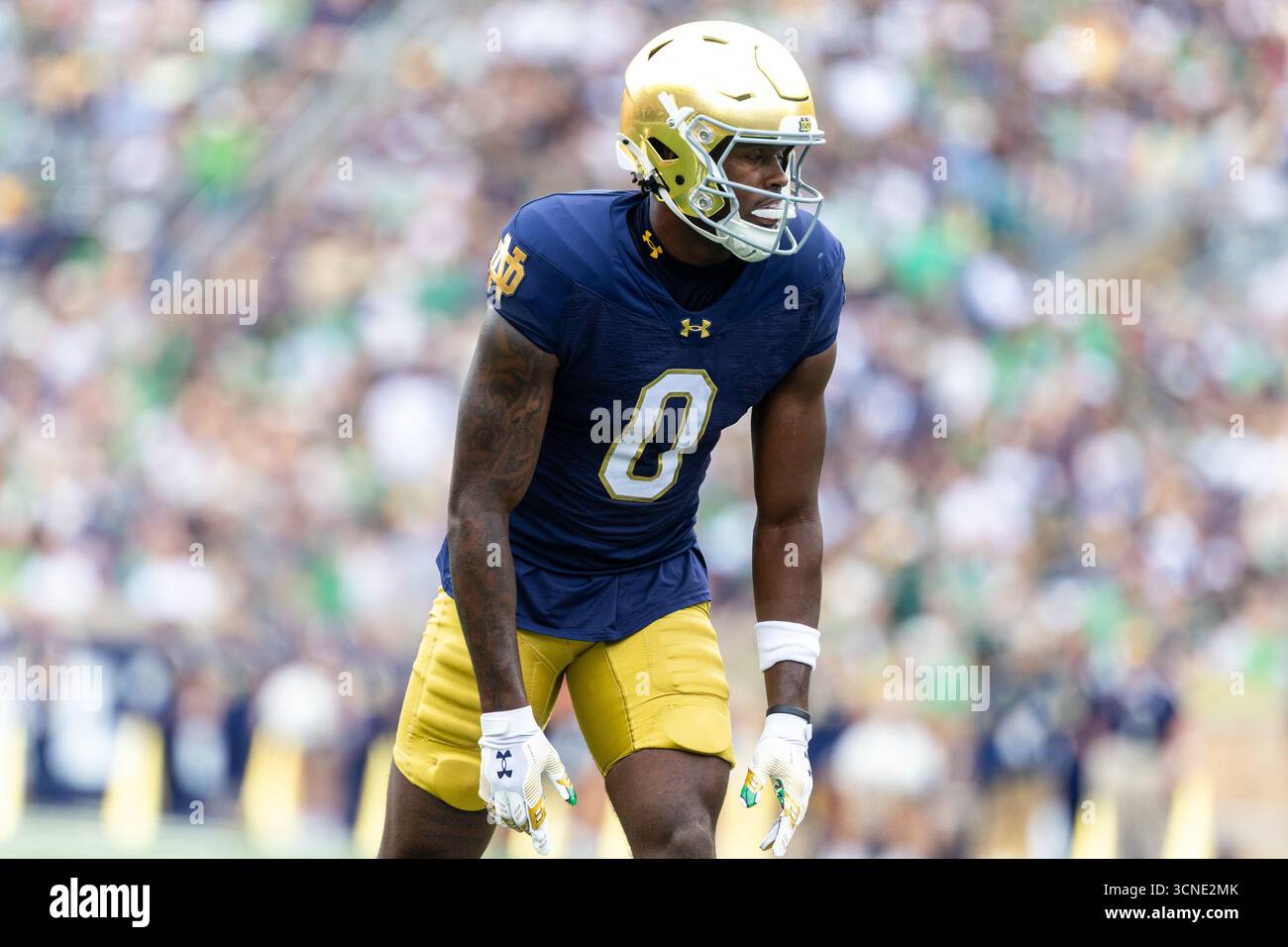 September 20, 2025: Notre Dame wide receiver Malachi Fields (0) during ...