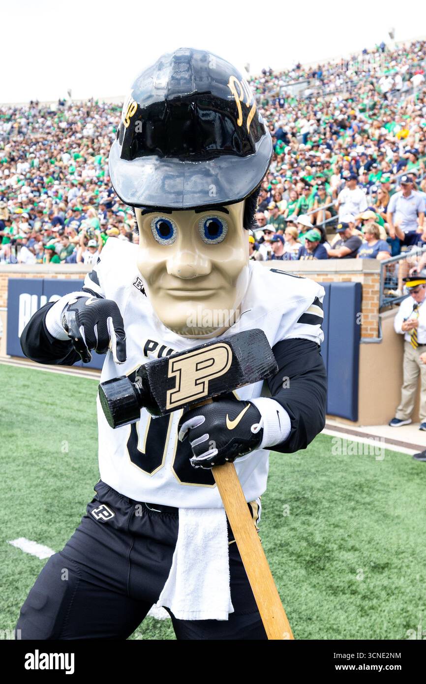 September 20, 2025: Purdue Peter during NCAA football game action ...