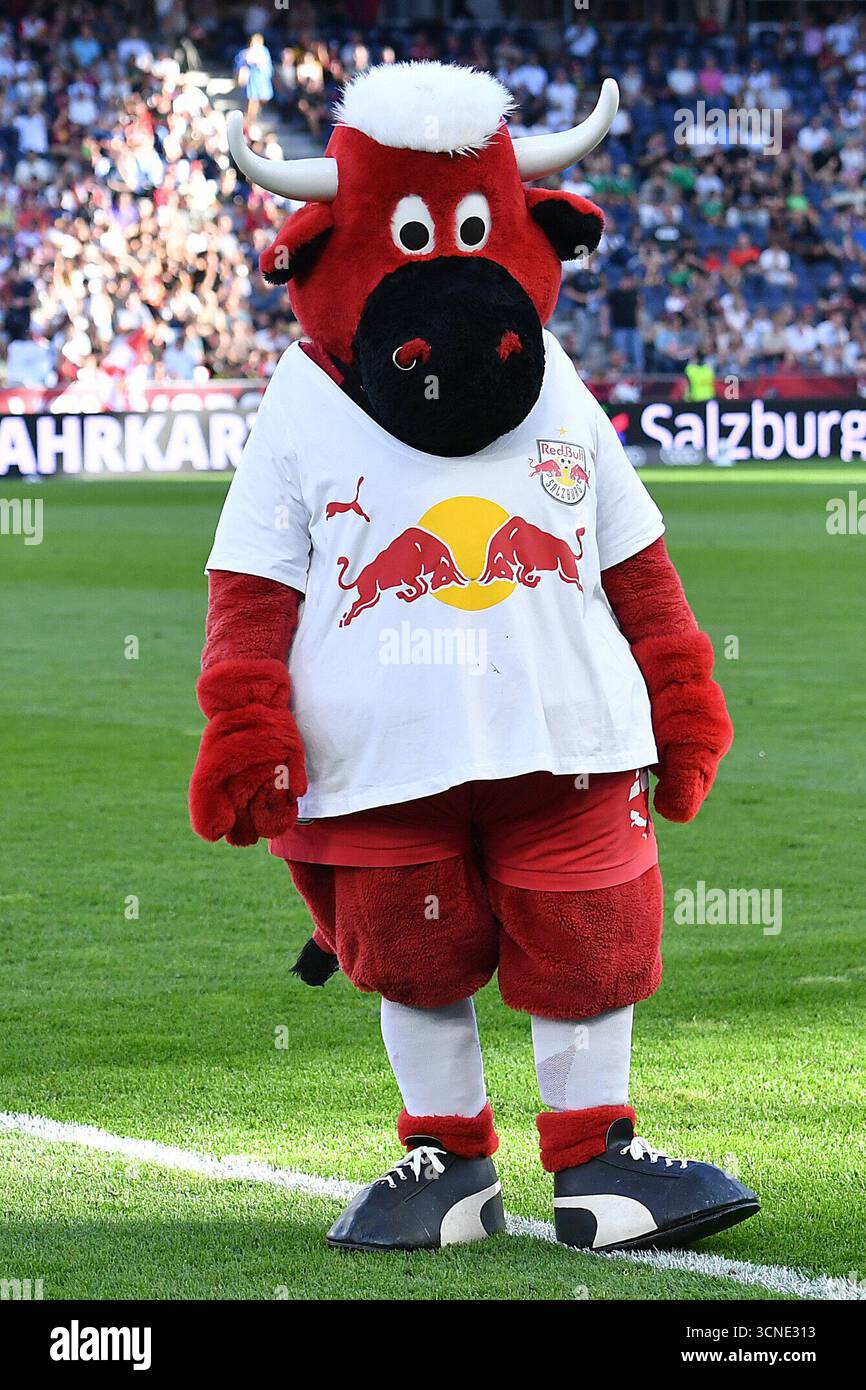 Fussball Admiral Bundesliga 7. Runde FC Red Bull Salzburg - SK ...