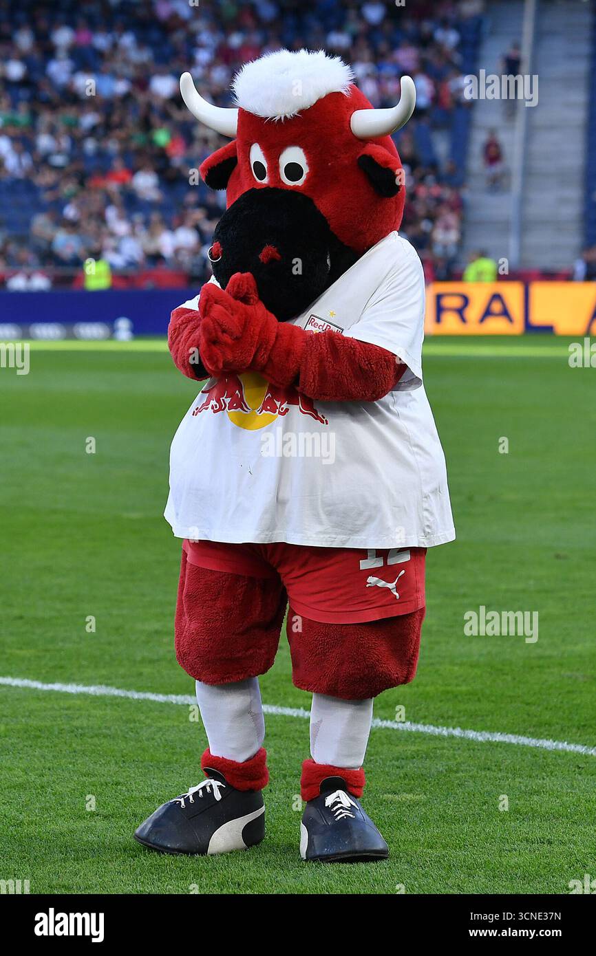 Fussball Admiral Bundesliga 7. Runde FC Red Bull Salzburg - SK ...