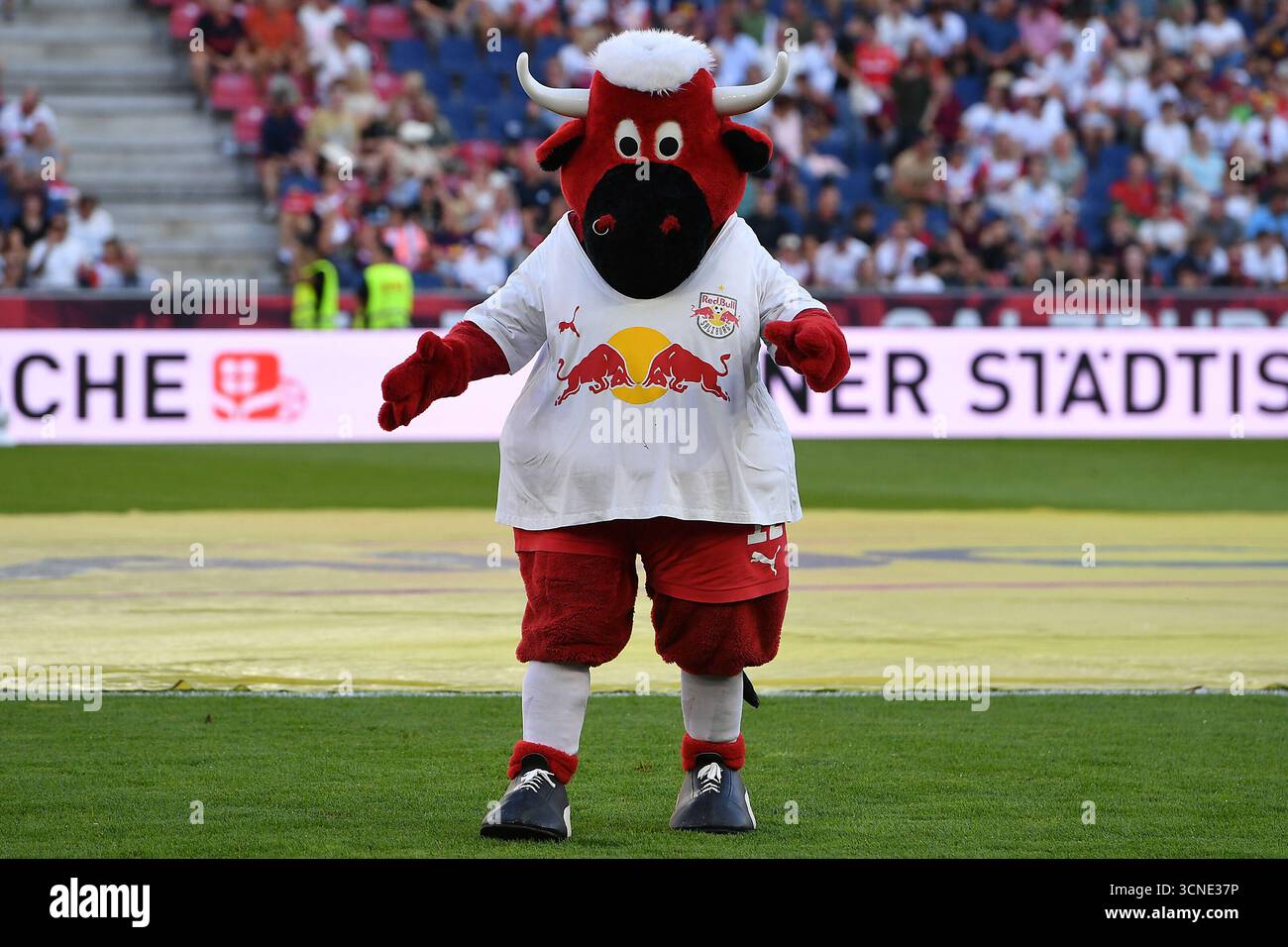 Fussball Admiral Bundesliga 7. Runde FC Red Bull Salzburg - SK ...