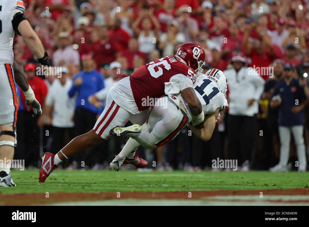 NORMAN, OK - SEPTEMBER 20: Oklahoma defensive lineman Gracen Halton ...