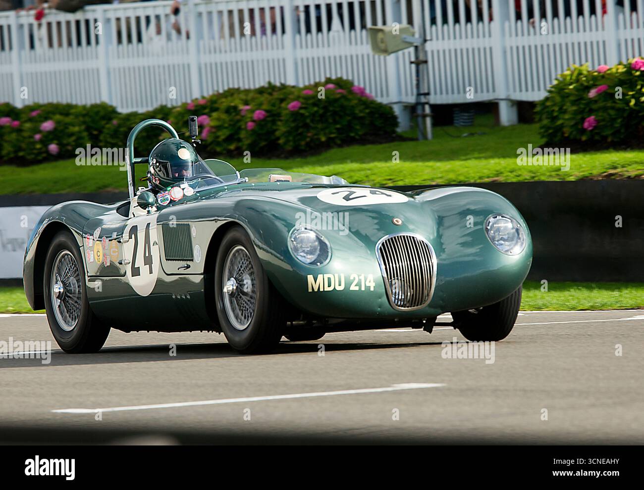 1952 Jaguar C-type driven in The Freddie Memorial Trophy by Chris Ward ...