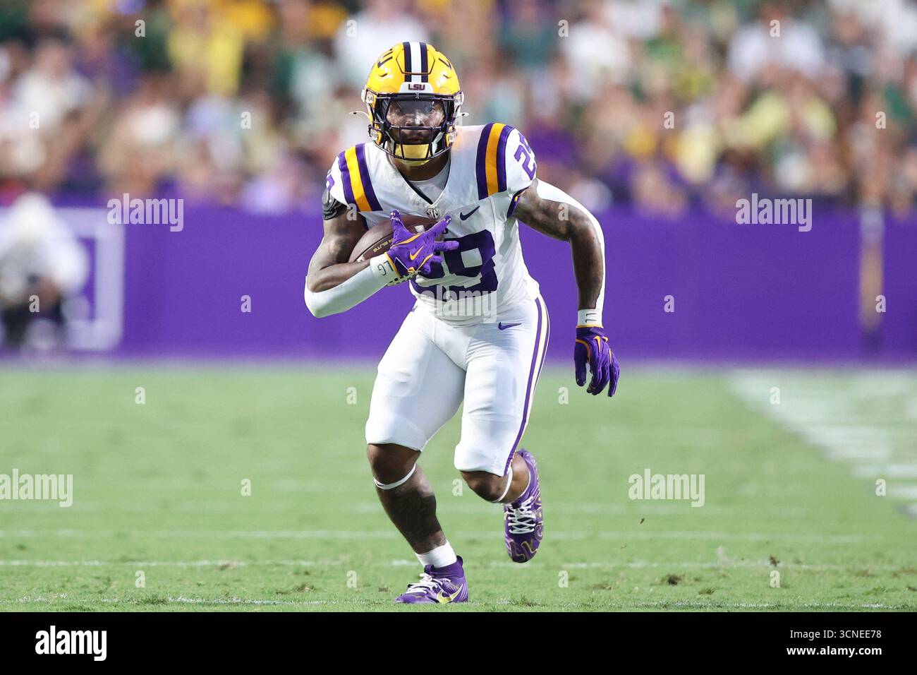 LSU running back Caden Durham (29) tries to gain some yardage after the ...