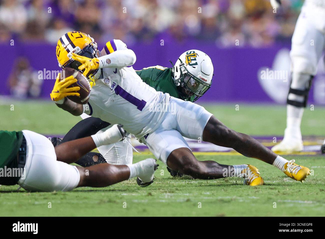 LSU wide receiver Aaron Anderson (1) stretches for some extra yardage ...