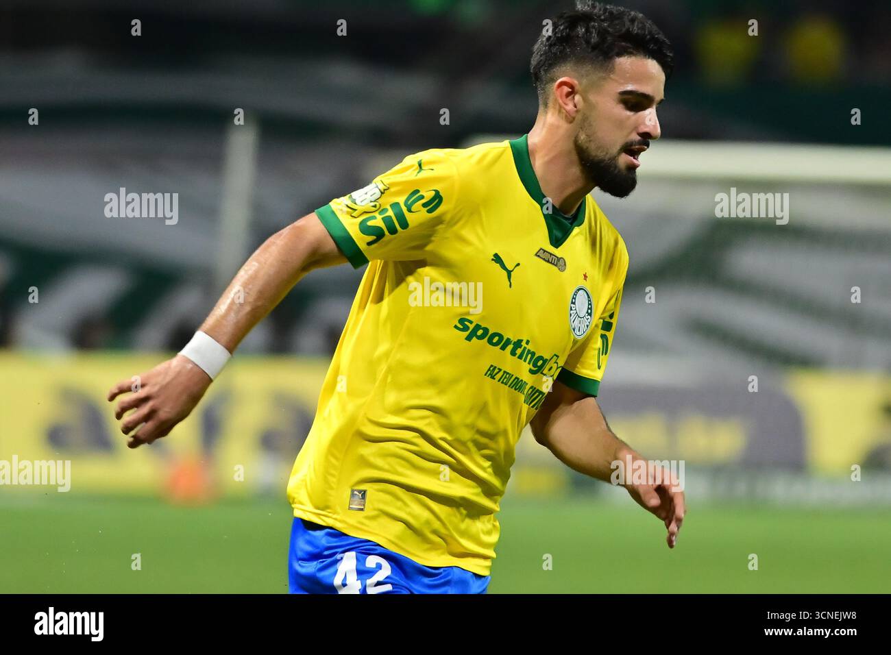 SP - SAO PAULO - 09/20/2025 - BRAZILIAN A 2025, PALMEIRAS x FORTALEZA ...