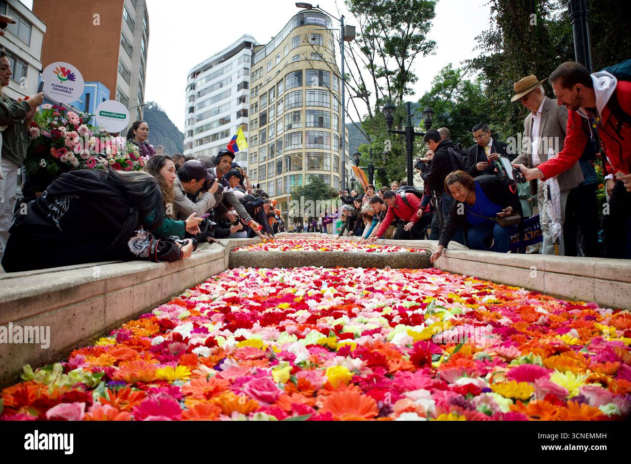 Flower installation bogota hi-res stock photography and images - Alamy