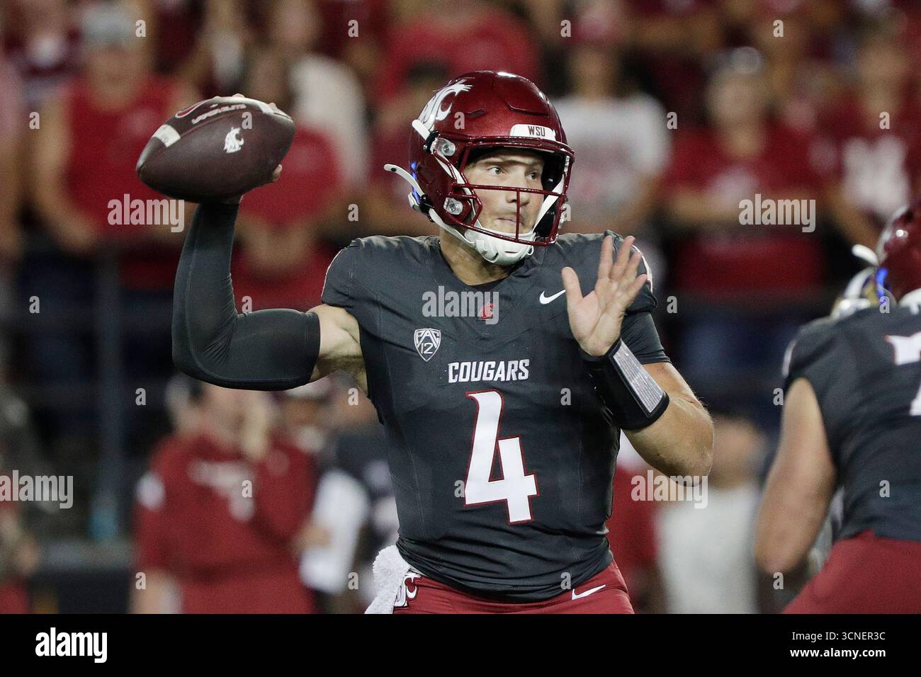 Washington State quarterback Zevi Eckhaus looks to throw a pass during ...