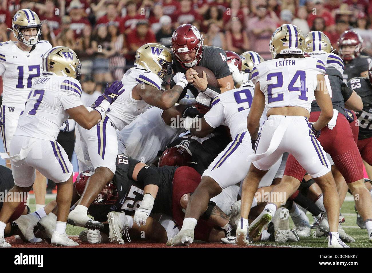 Washington State quarterback Zevi Eckhaus (4) dives for a touchdown ...