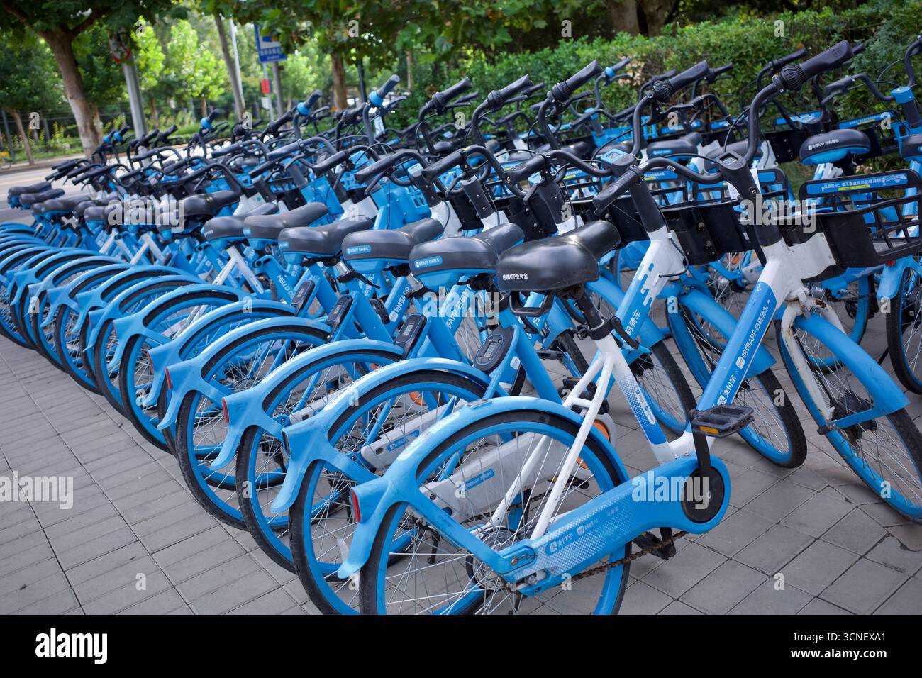 A general view showing ‌the shared bike of Hellobike at the road on ...
